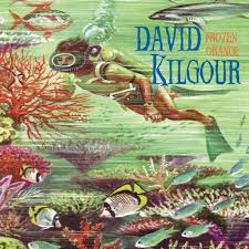 DAVID KILGOUR | FROZEN ORANGE – Real Groovy
